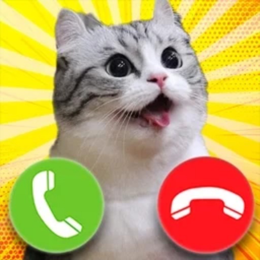 Komaru cat 🕹️ Play Online for Free | PIGame